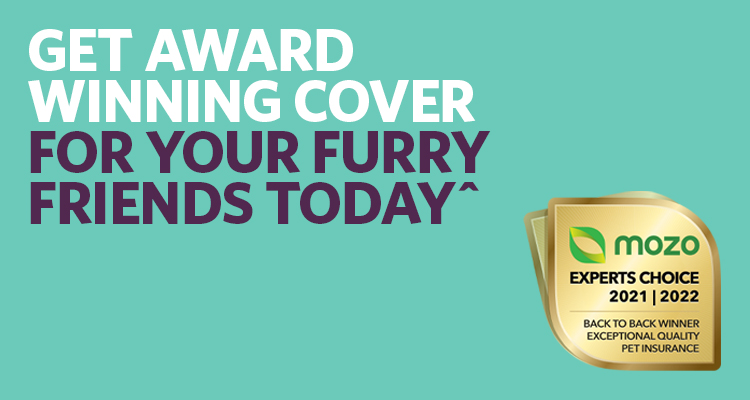 Get a Pet insurance quote